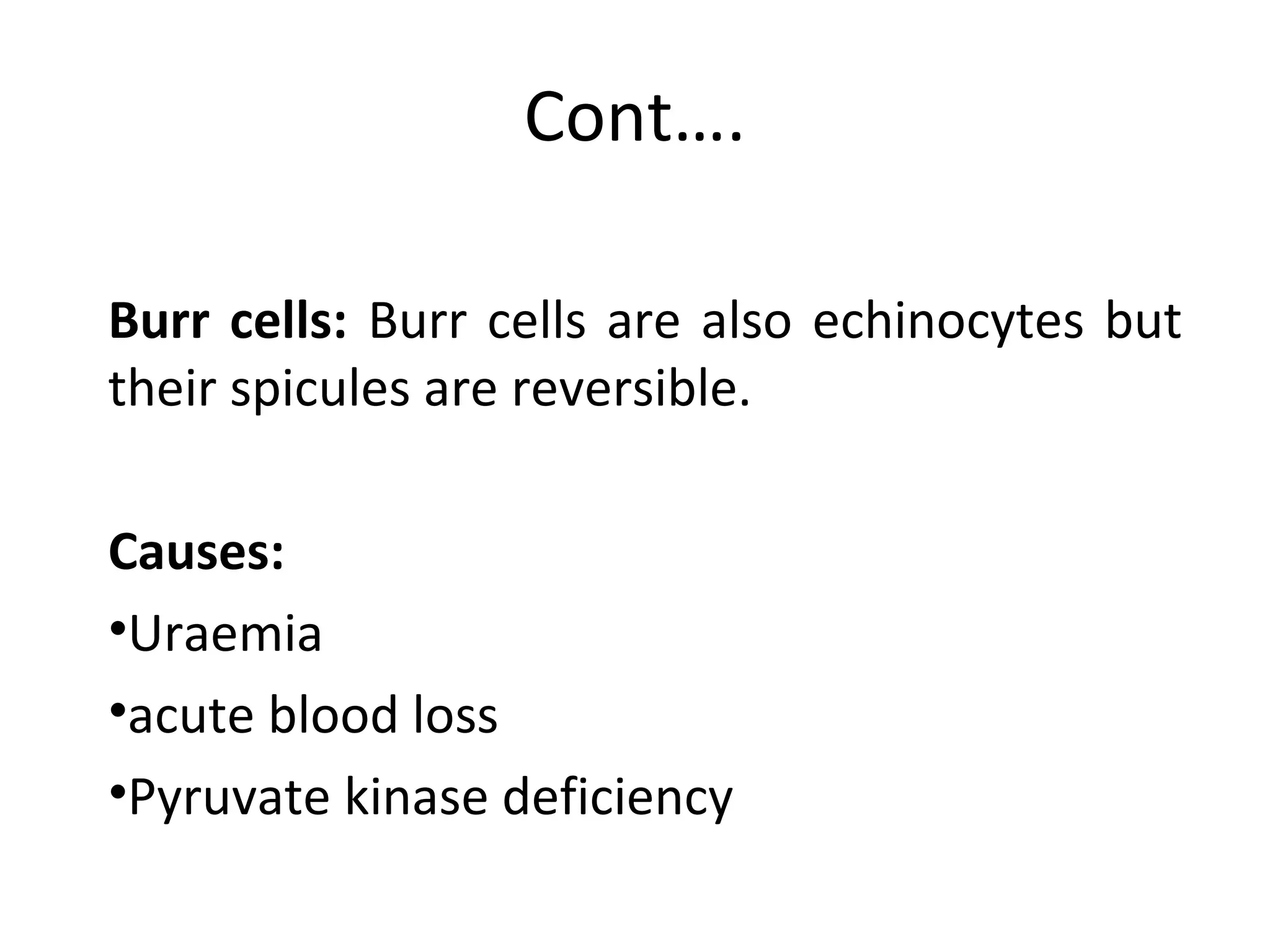 morphology of red blood cells | PPT