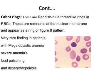 morphology of red blood cells | PPT