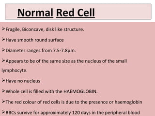 morphology of red blood cells | PPT