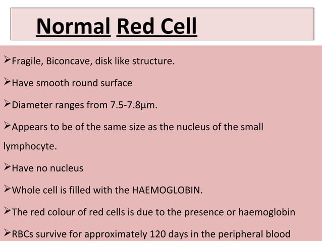 morphology of red blood cells