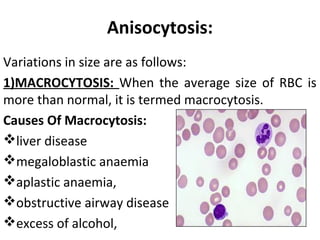 morphology of red blood cells | PPT
