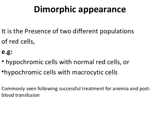 morphology of red blood cells