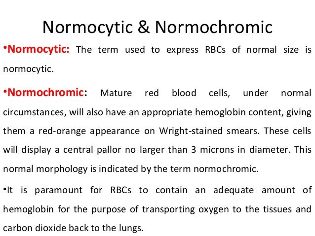 morphology of red blood cells