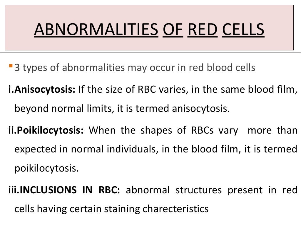 morphology of red blood cells