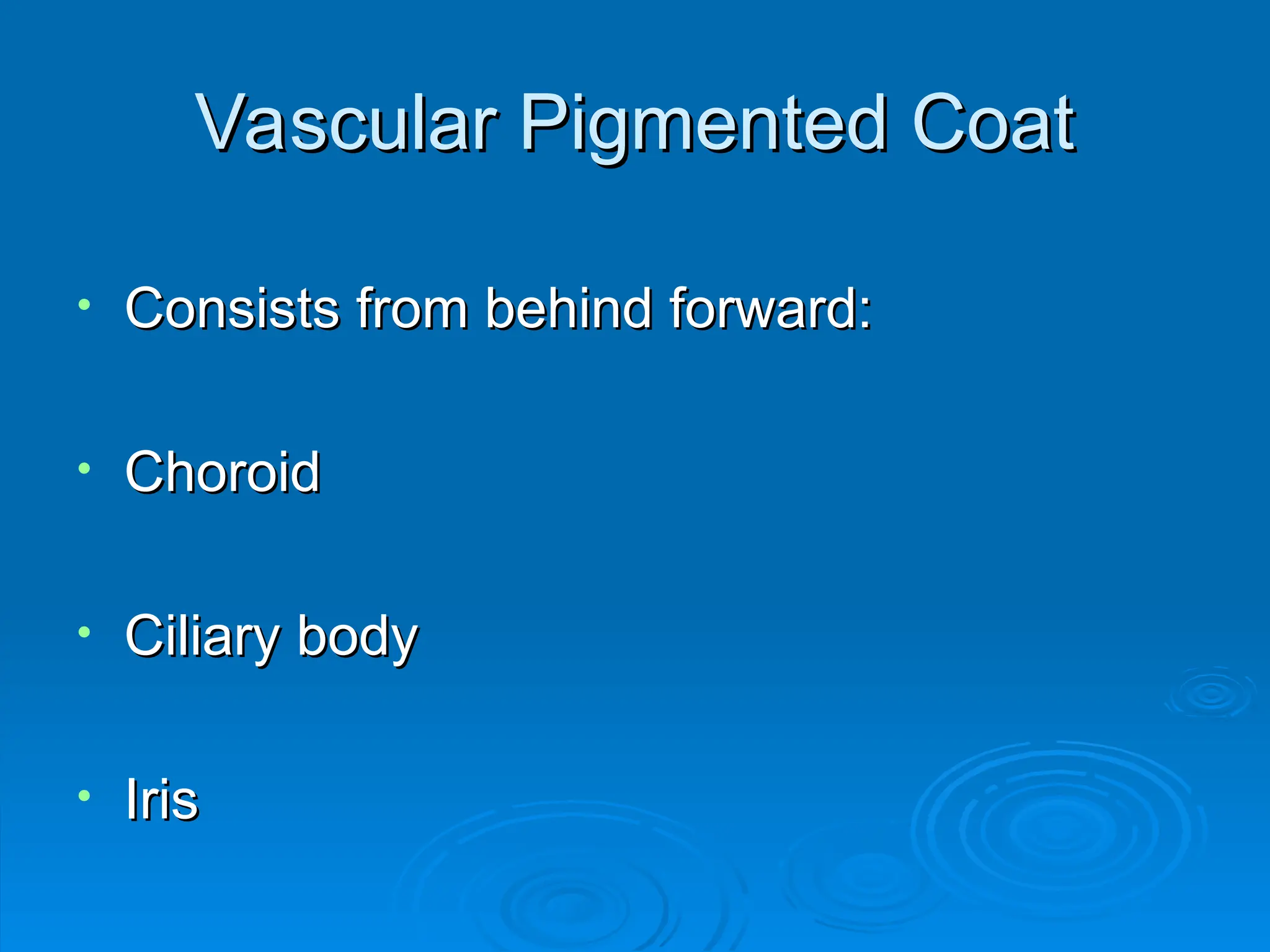 08-Orbit II.ppt anatomy of orbit PowerPoint | PPT