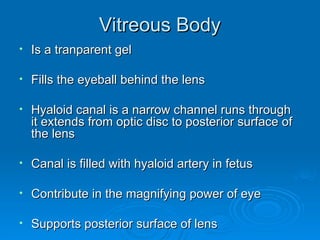 08-Orbit II.ppt anatomy of orbit PowerPoint | PPT