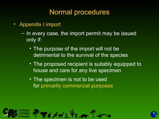 Permit Procedures | PPT