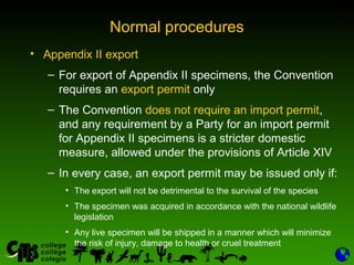Permit Procedures | PPT