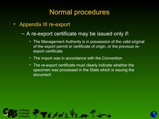 Permit Procedures | PPT