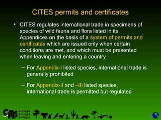 Permit Procedures | PPT
