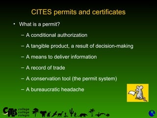 Permit Procedures | PPT