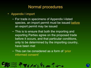 Permit Procedures | PPT