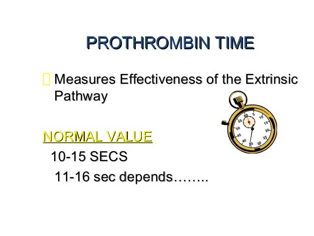 prothrombin time