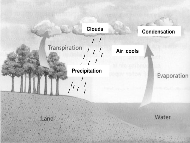 08 Rainfall Ppt 08 | PPT