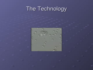 08 Reproductive Sciences | PPT