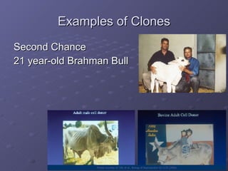 08 Reproductive Sciences | PPT