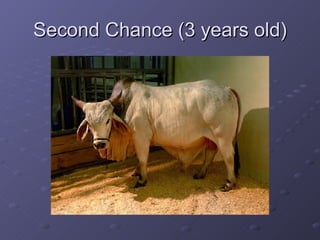 08 Reproductive Sciences | PPT