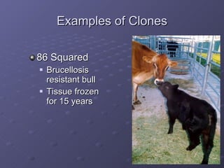 08 Reproductive Sciences | PPT