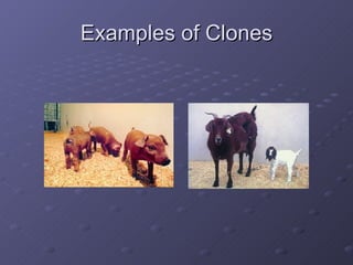 08 Reproductive Sciences | PPT