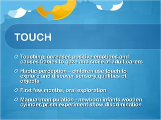 08 sensory development | PPT