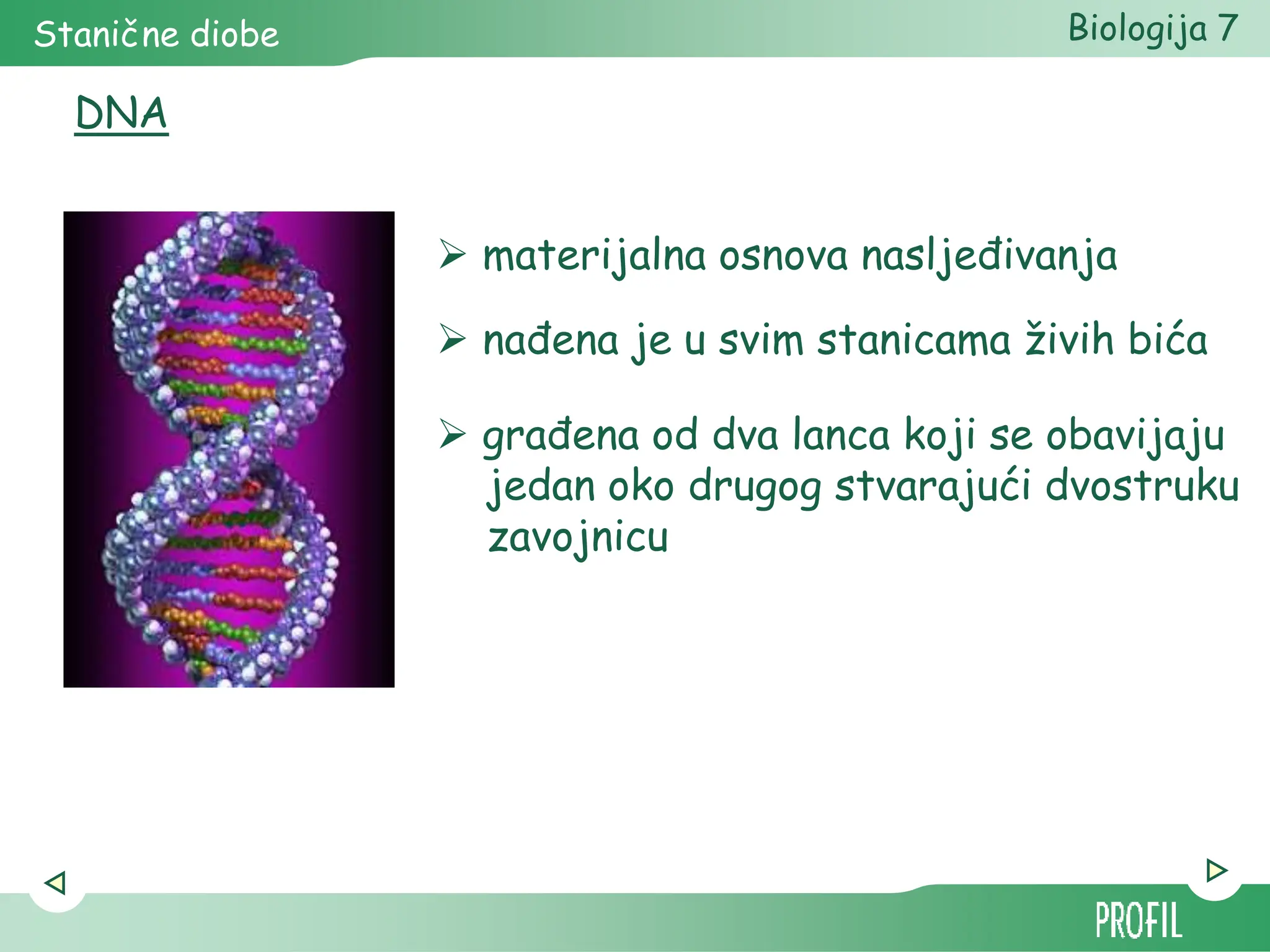 Biologija ćelije za predmetnu nastavu Biologija | PPT