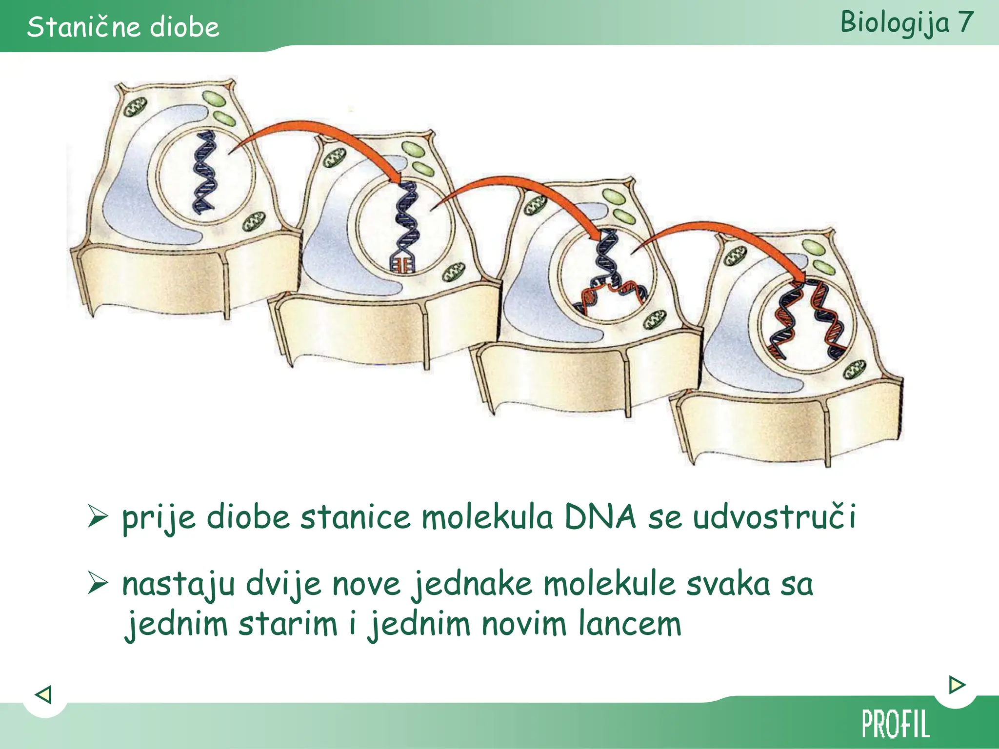 Biologija ćelije za predmetnu nastavu Biologija | PPT