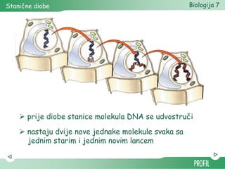 Biologija ćelije za predmetnu nastavu Biologija | PPT