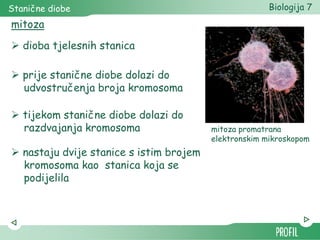 Biologija ćelije za predmetnu nastavu Biologija | PPT