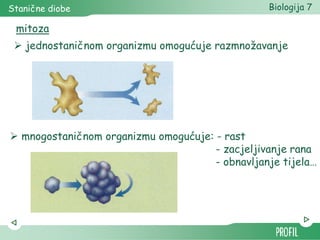 Biologija ćelije za predmetnu nastavu Biologija | PPT