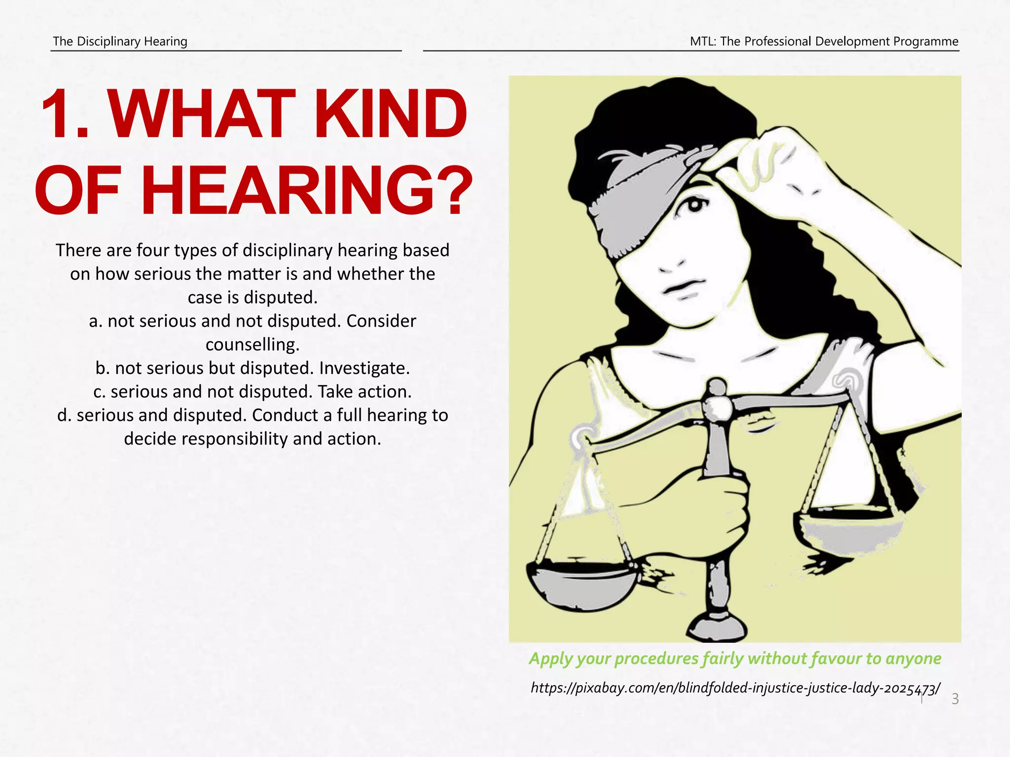 The Disciplinary Hearing | PPTX