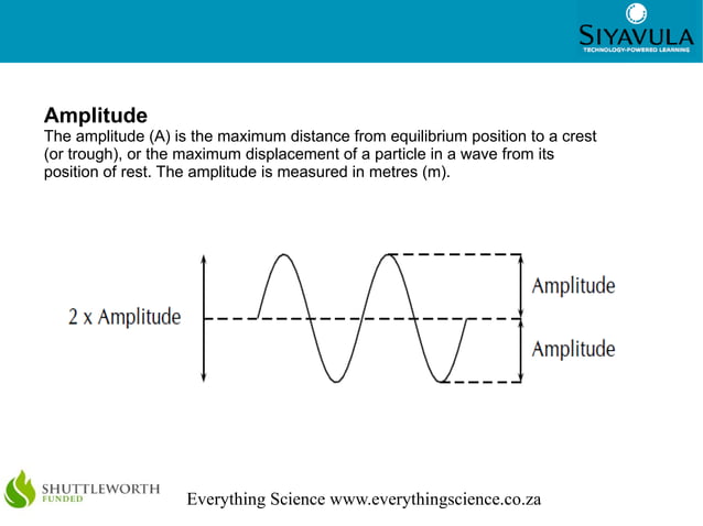 Transverse waves | ODP | Physics | Science