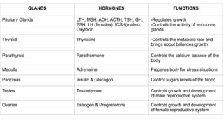 08+-++Urinary_Endocrine+System.pptxgdfggd | PPTX