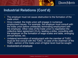 080120 Labour Law Presentation | PPT | Business | Business and Finance