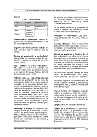 PDM Rurrenabaque | PDF