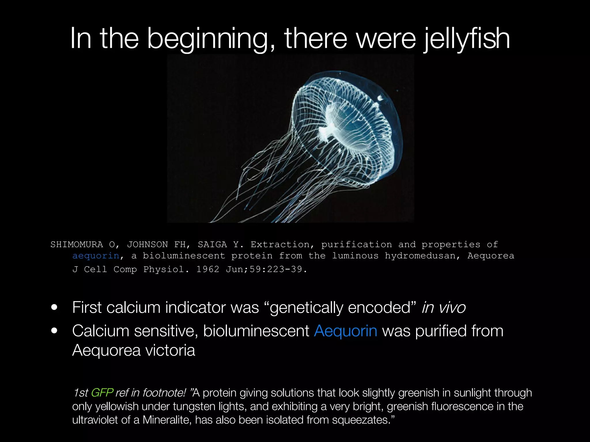 A Brief History of Calcium Imaging | PPT