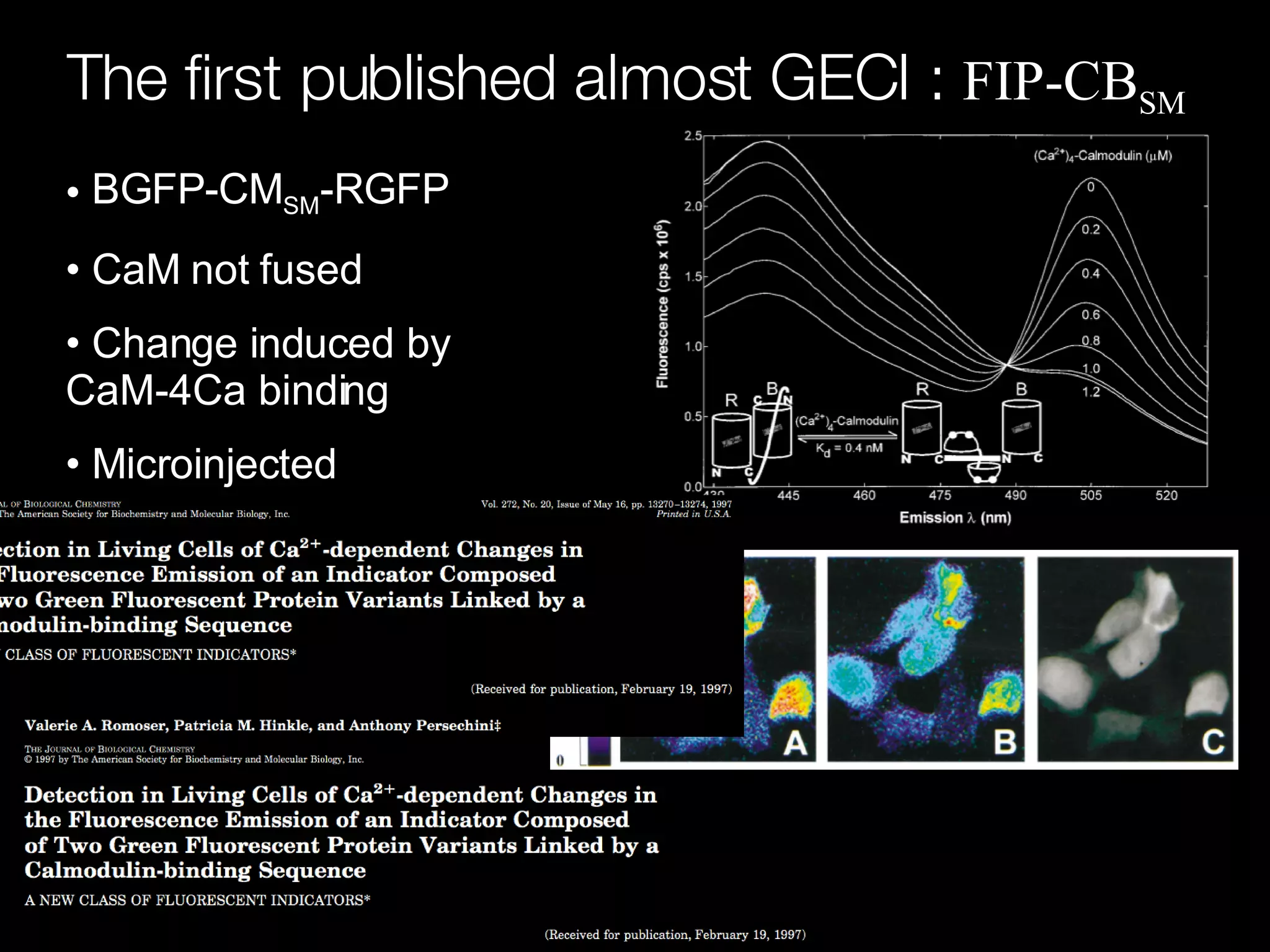 A Brief History of Calcium Imaging | PPT