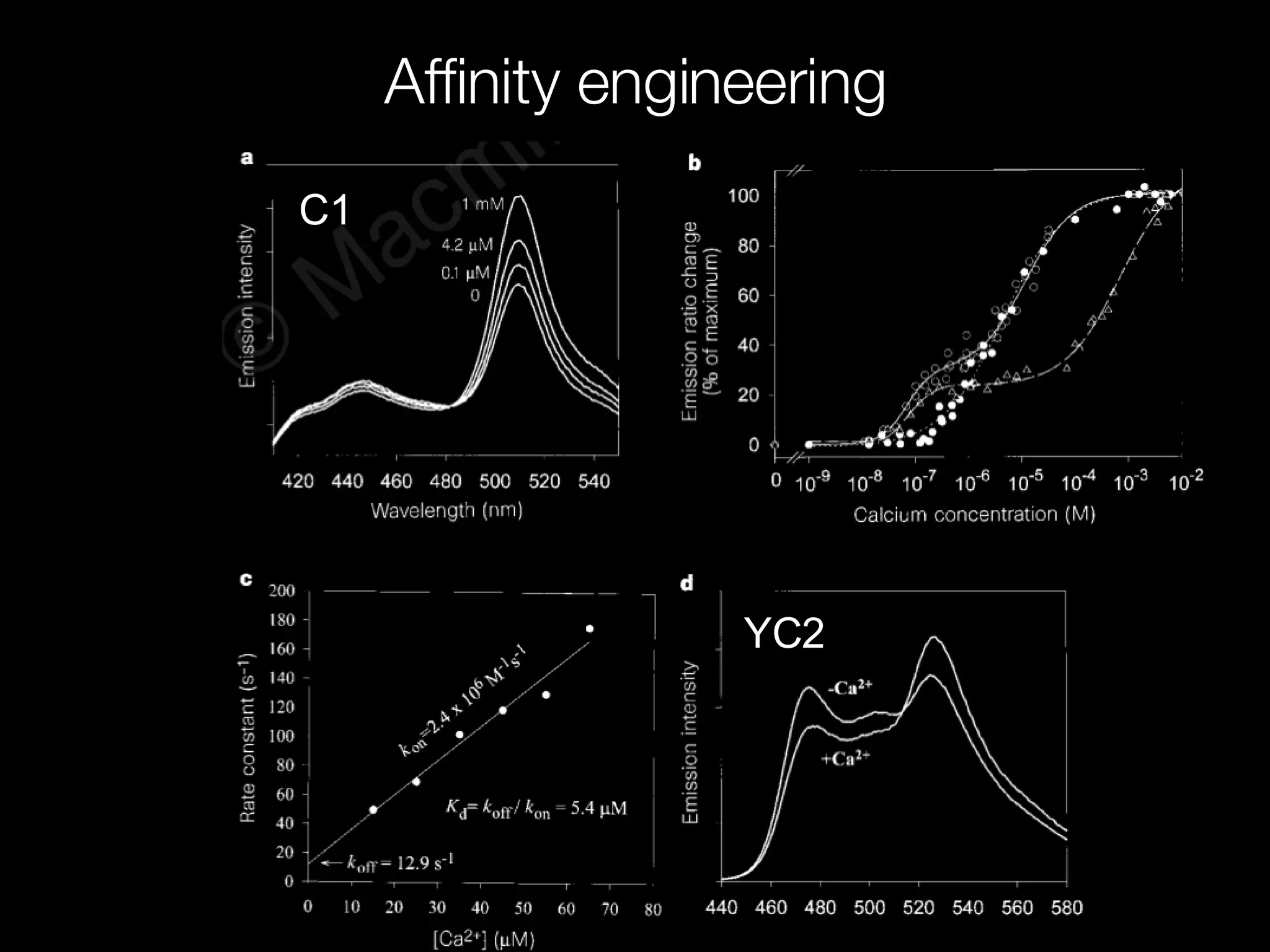 A Brief History of Calcium Imaging | PPT