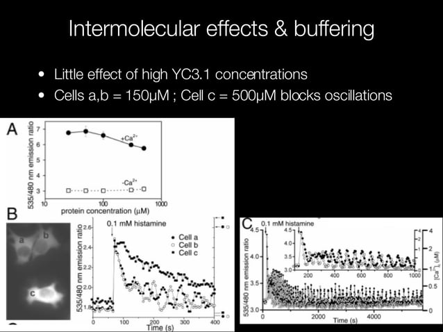 A Brief History of Calcium Imaging | PPT