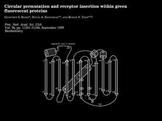 A Brief History of Calcium Imaging | PPT