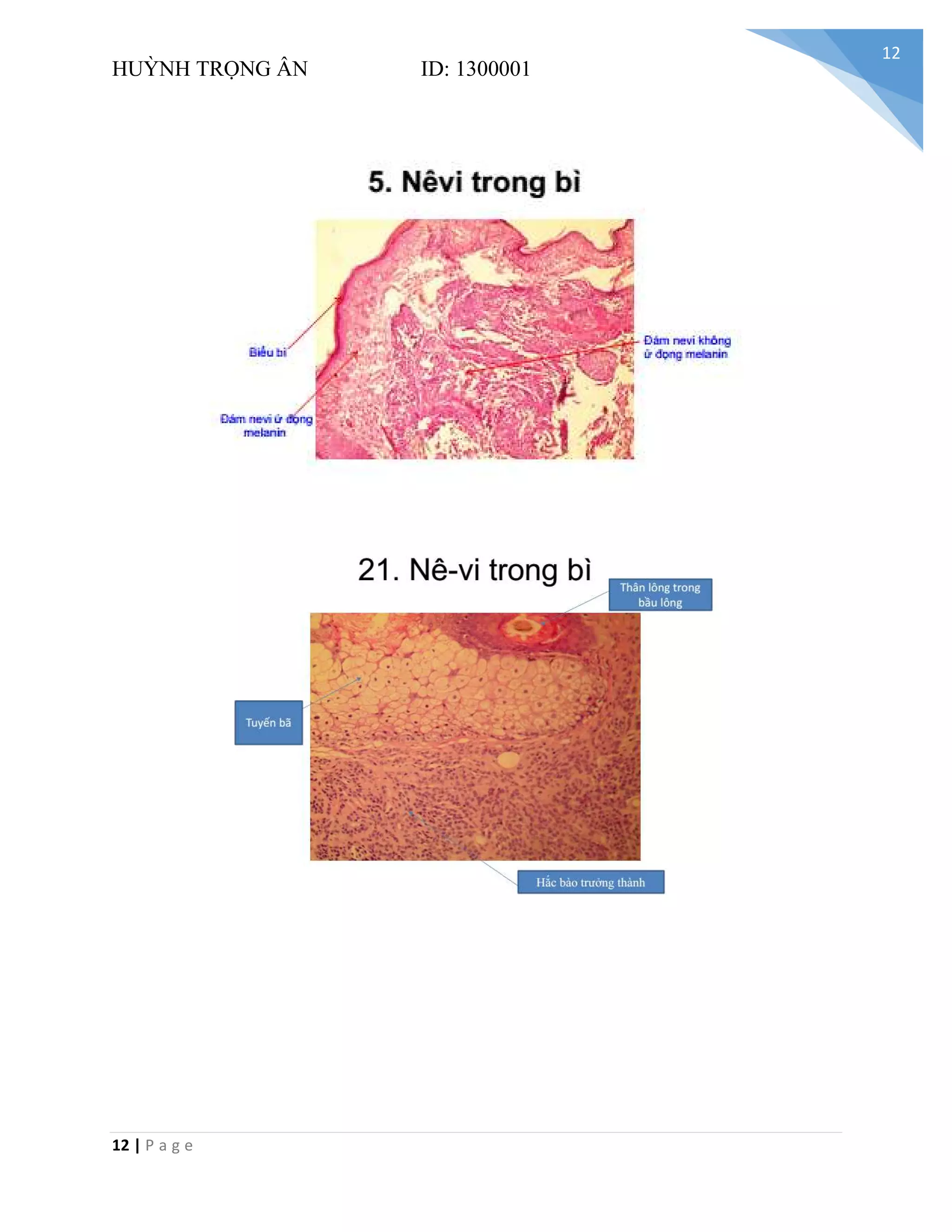 gpb tai lieu tham khao | PDF