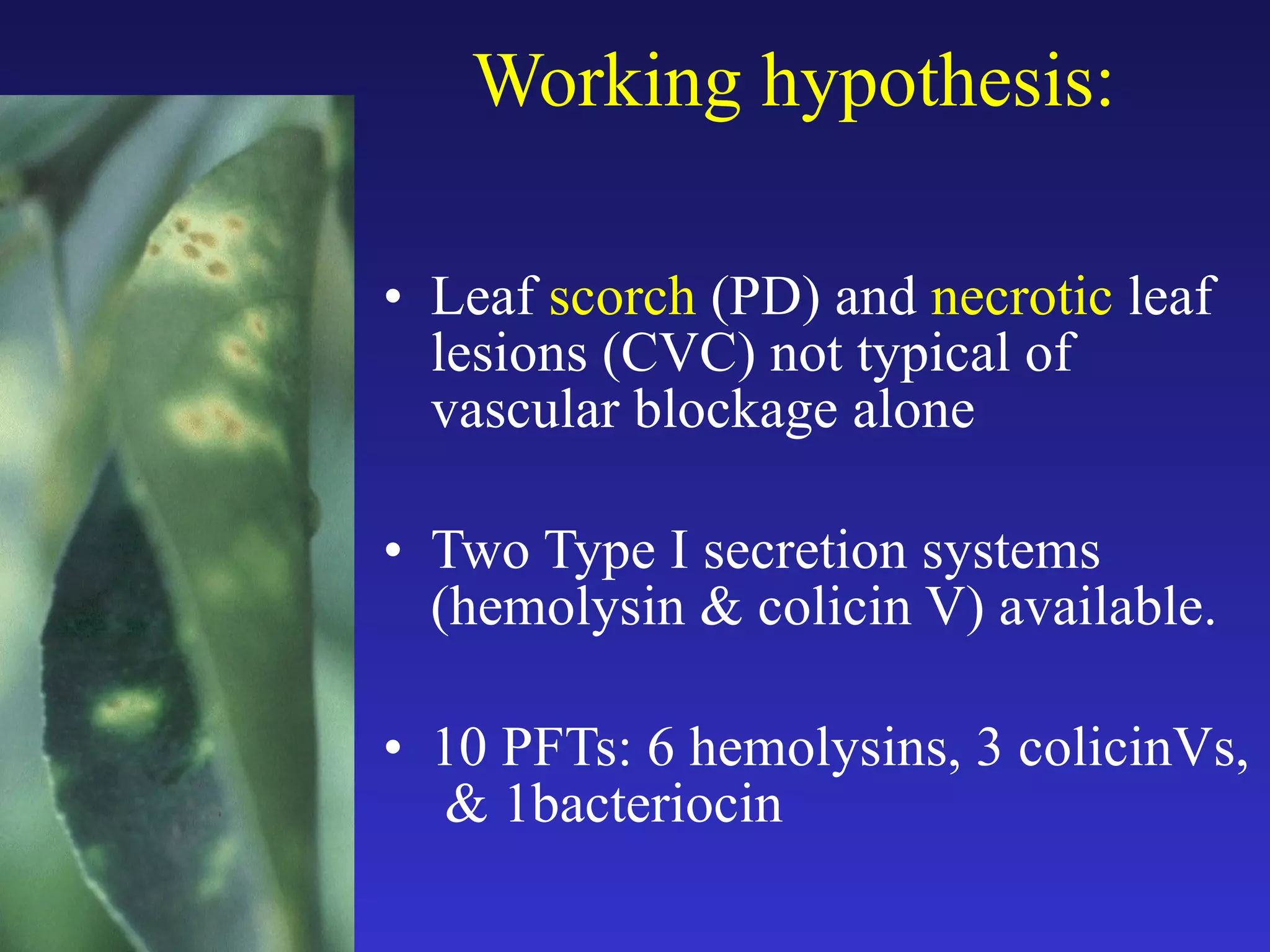 Role of Type I Secretion in Pierce's Disease - Dean Gabriel - Pierce's ...