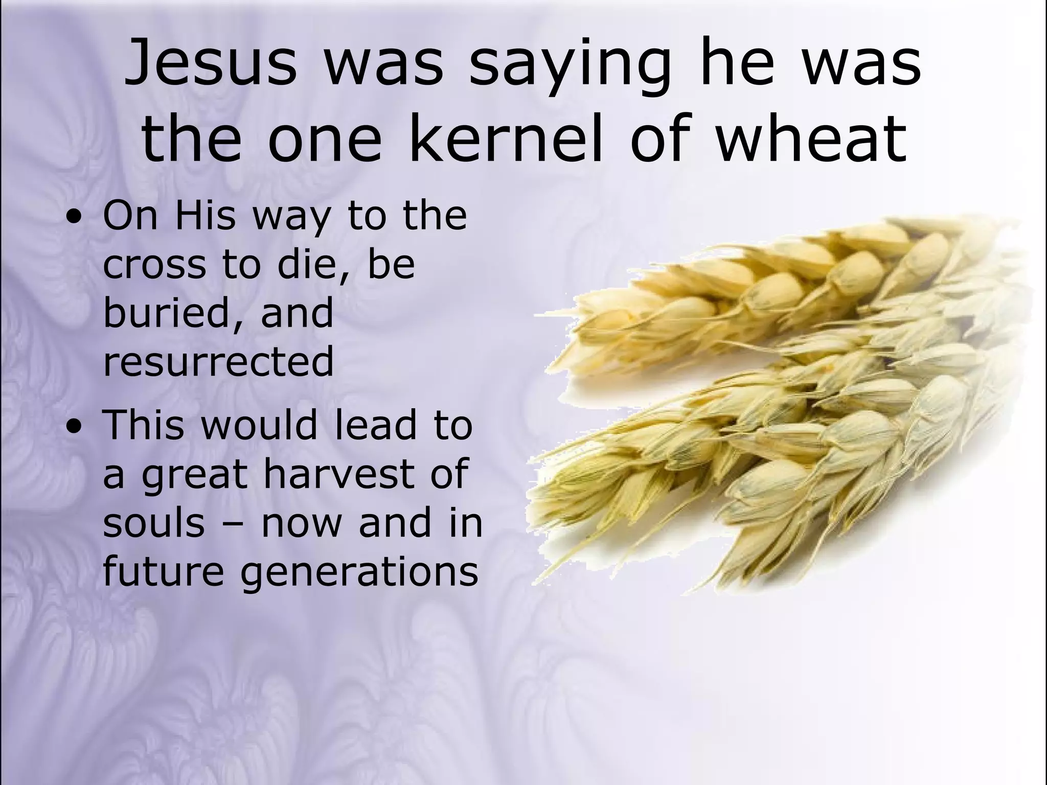 080824 A Grain Of Fallen Wheat John 12 20 36 Dale Wells | PPS