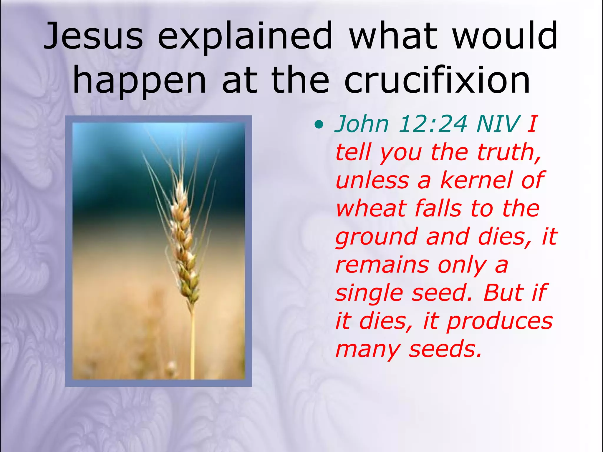 080824 A Grain Of Fallen Wheat John 12 20 36 Dale Wells | PPS