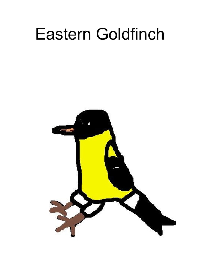 0809 3a Amanda | PPT