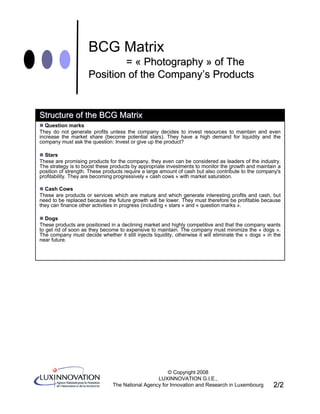 BCG Matrix | PDF | Business Accounting & Finance | Business