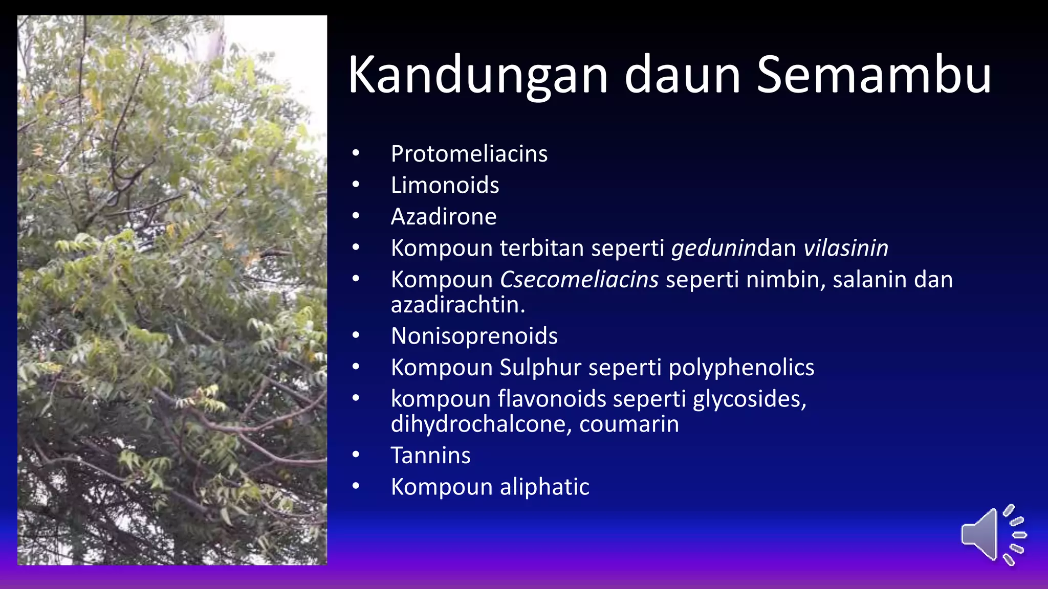 Pokok semambu | PPTX