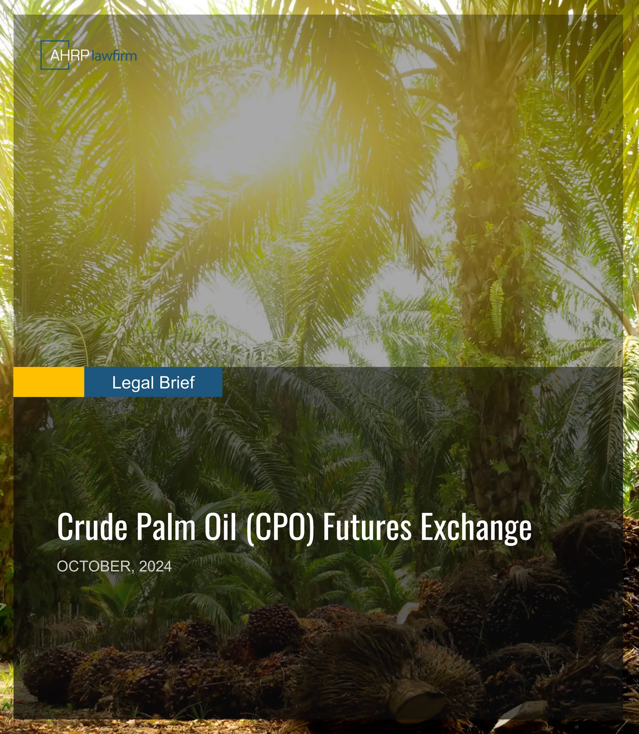 Crude Palm Oil (CPO) Futures Exchange.pdf