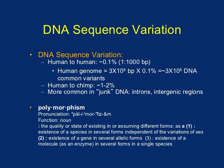 08.13.08: DNA Sequence Variation