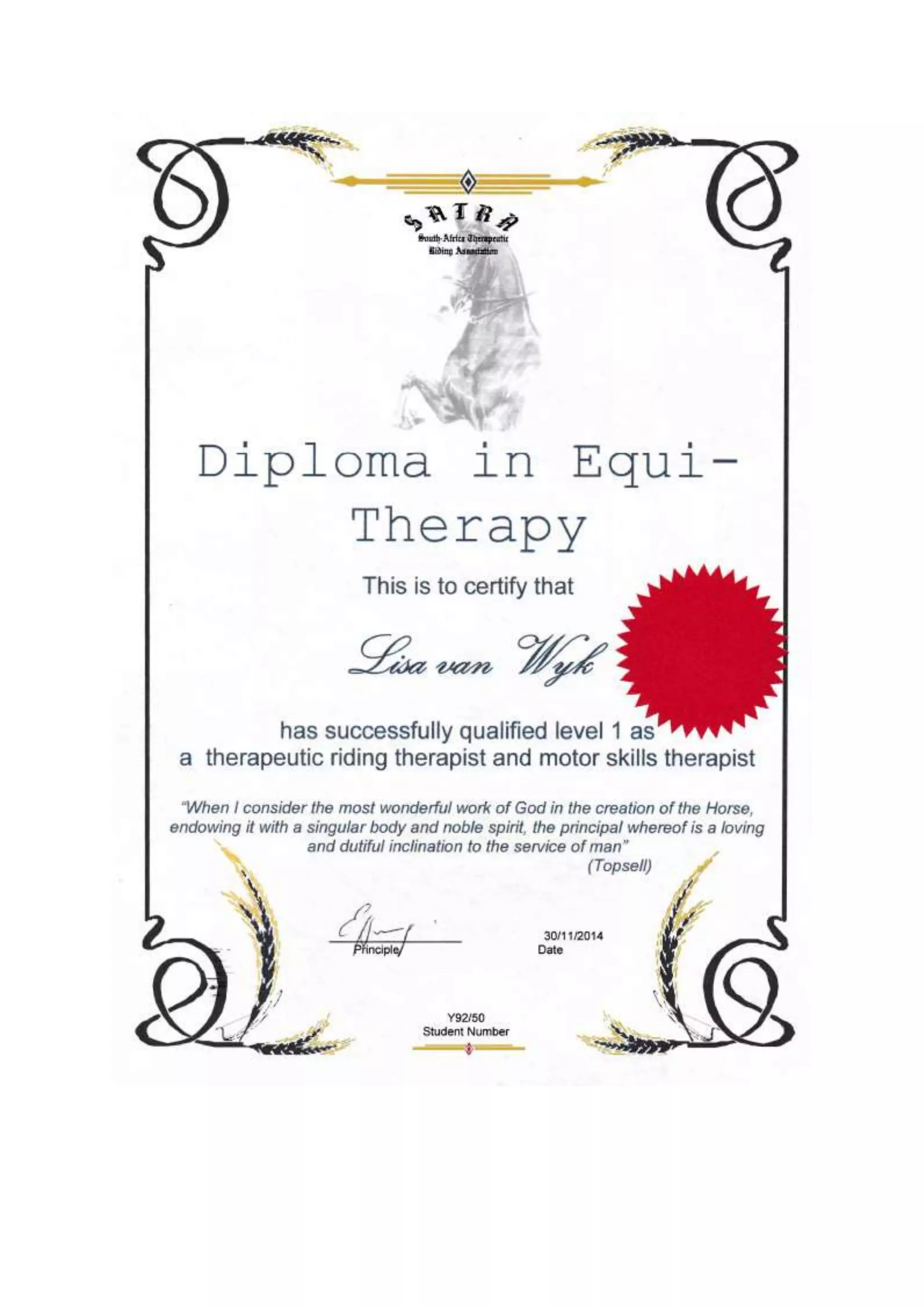 CV Dirkie Elizabeth (Lisa) van Wyk 2015 updated | DOCX