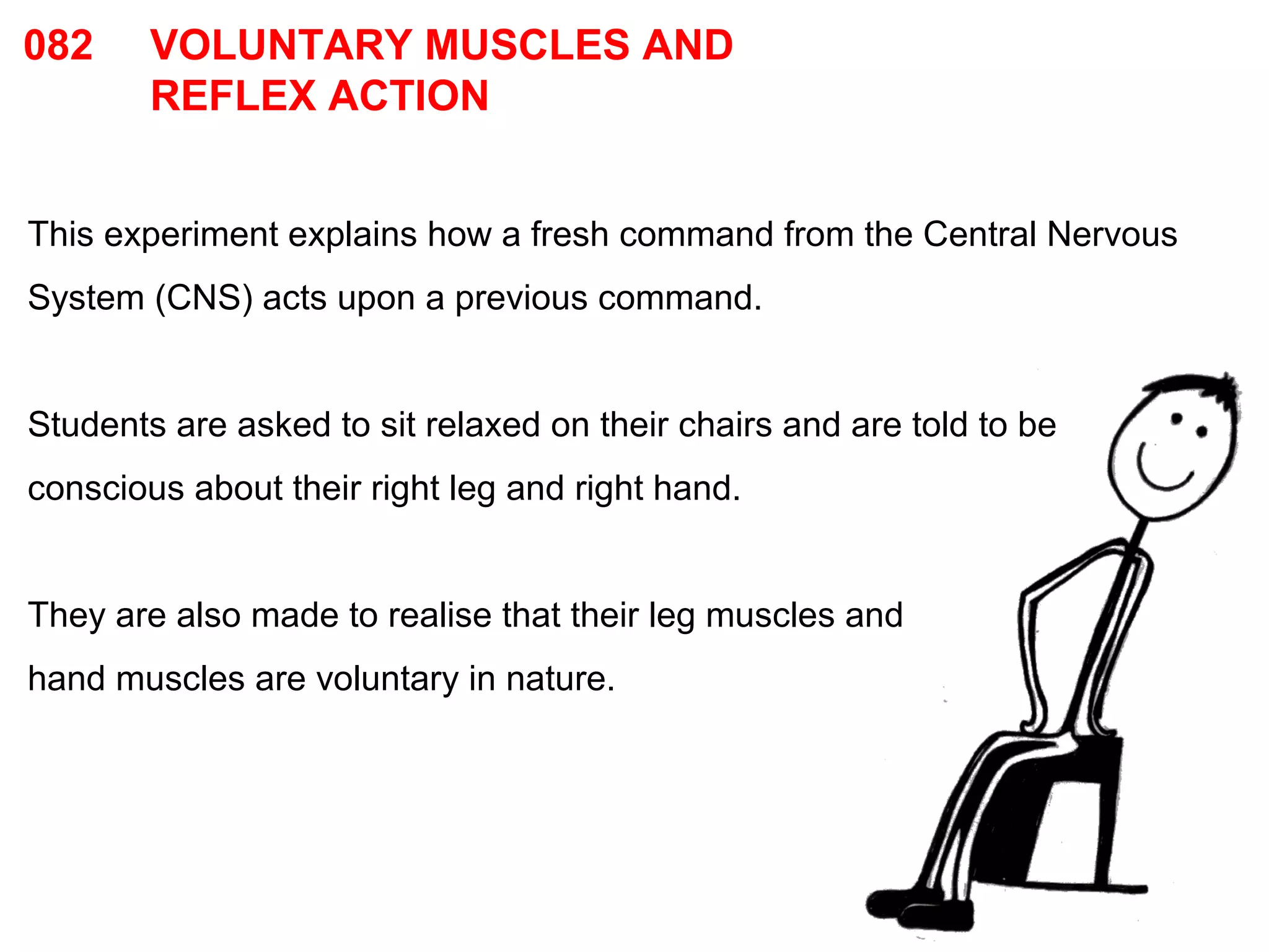 082 voluntary muscles and reflex action | PPT